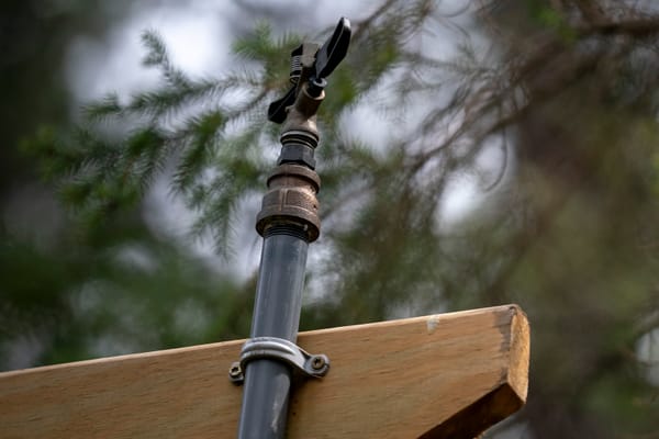 Sprinklers in the forest: How lake water can protect northern Minnesota ...